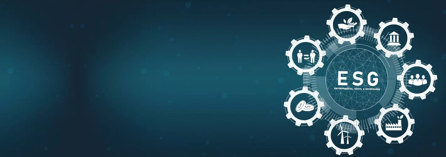 ESG-Transformation in 3 Schritten zur Nachhaltigkeit für Unternehmen